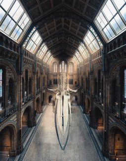 Vertical Panoramas: Incredible Photos by Peter Li | Daily design ...