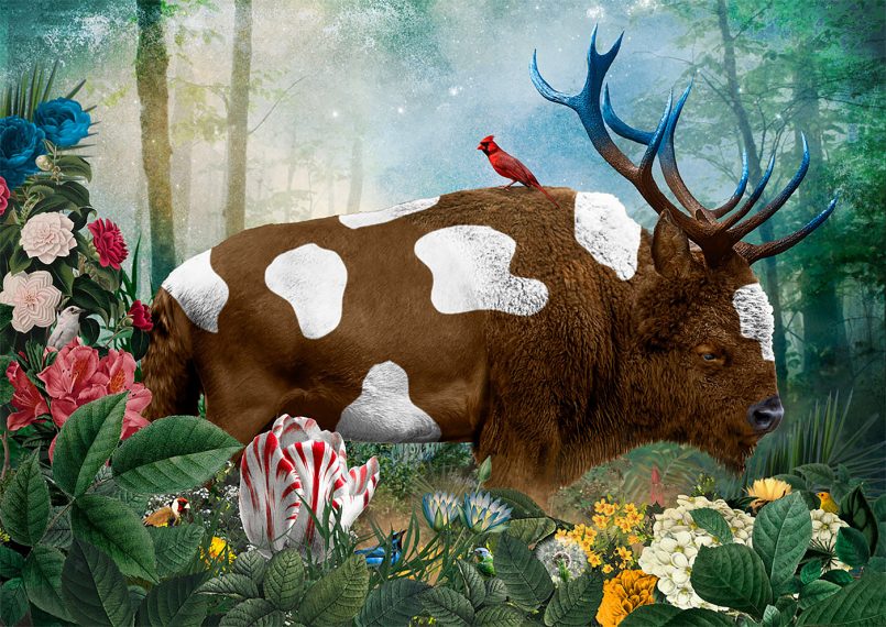 The day I visited eden: Collages by André Sanchez | Daily design ...