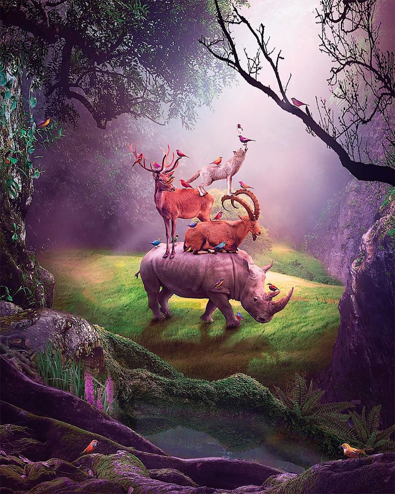 Surreal Animal Artworks by Andreas Häggkvist | Daily design inspiration ...