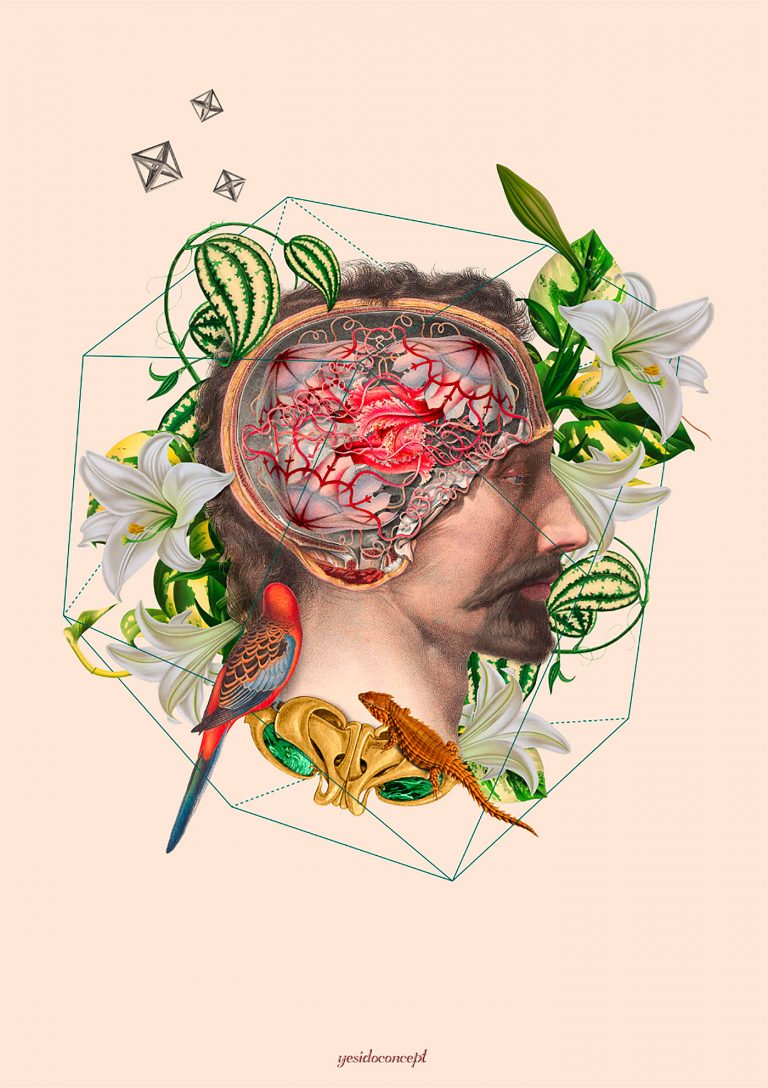 Fantastic Collage Illustrations by Yes I do | Daily design inspiration ...