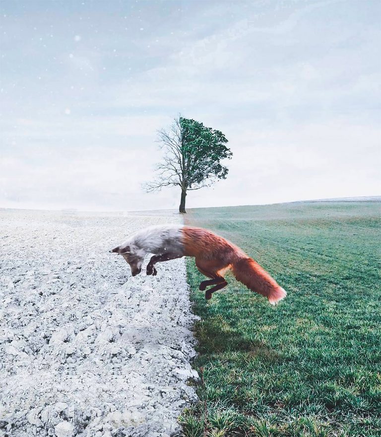 Surreal Artworks by Ronald Ong | Daily design inspiration for creatives ...