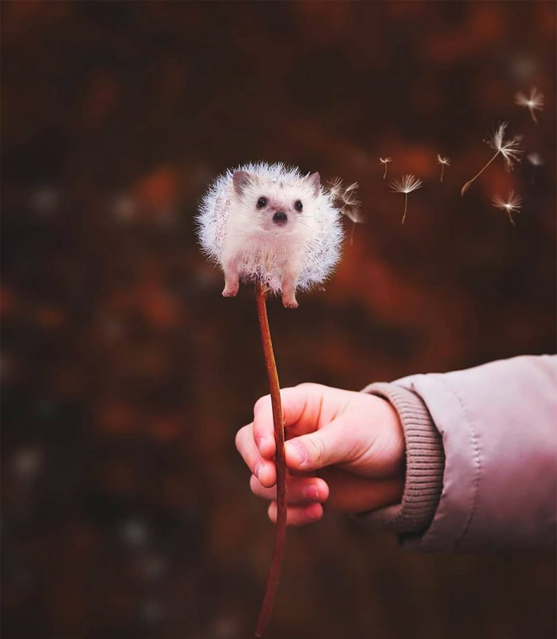 Surreal Artworks by Ronald Ong | Daily design inspiration for creatives ... Surreal Artworks by Ronald Ong | Daily design inspiration for creatives ...