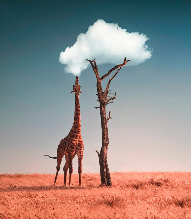 Surreal Artworks by Ronald Ong | Daily design inspiration for creatives ...