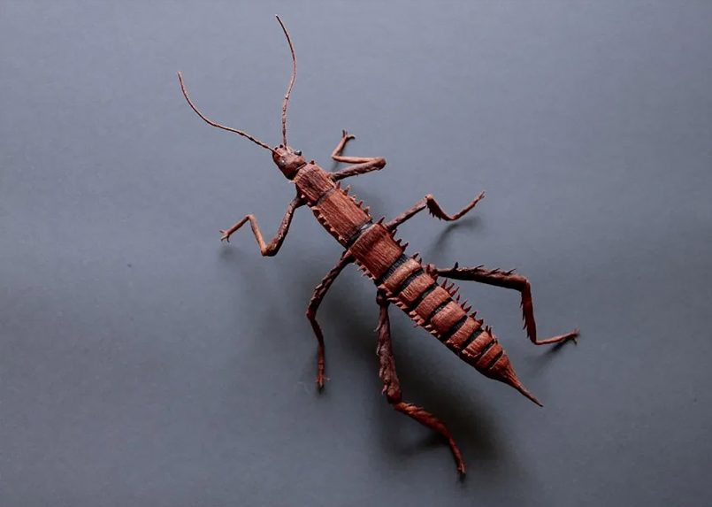 Paper Fauna: Delicate Sculptures by Tina Kraus | Daily design ...