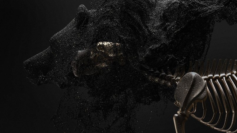 When Predators Attack: Nat Geo Graphics by Playdead | Daily design ...