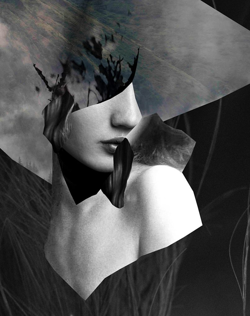 Transformation: Collage Artworks by Stefan Gunnesch | Daily design ...