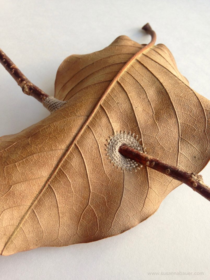 Leaves & Twigs: Artworks by Susanna Bauer | Daily design inspiration ...