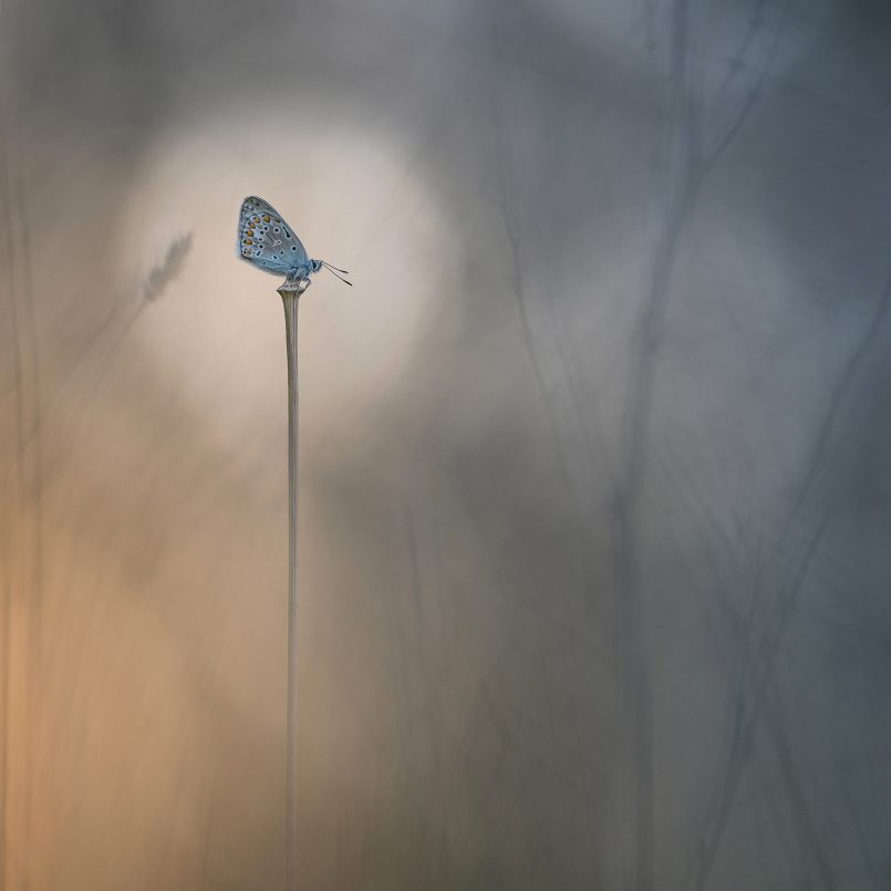 Fine Art Landscape Photography by Neil Burnell | Daily design ...