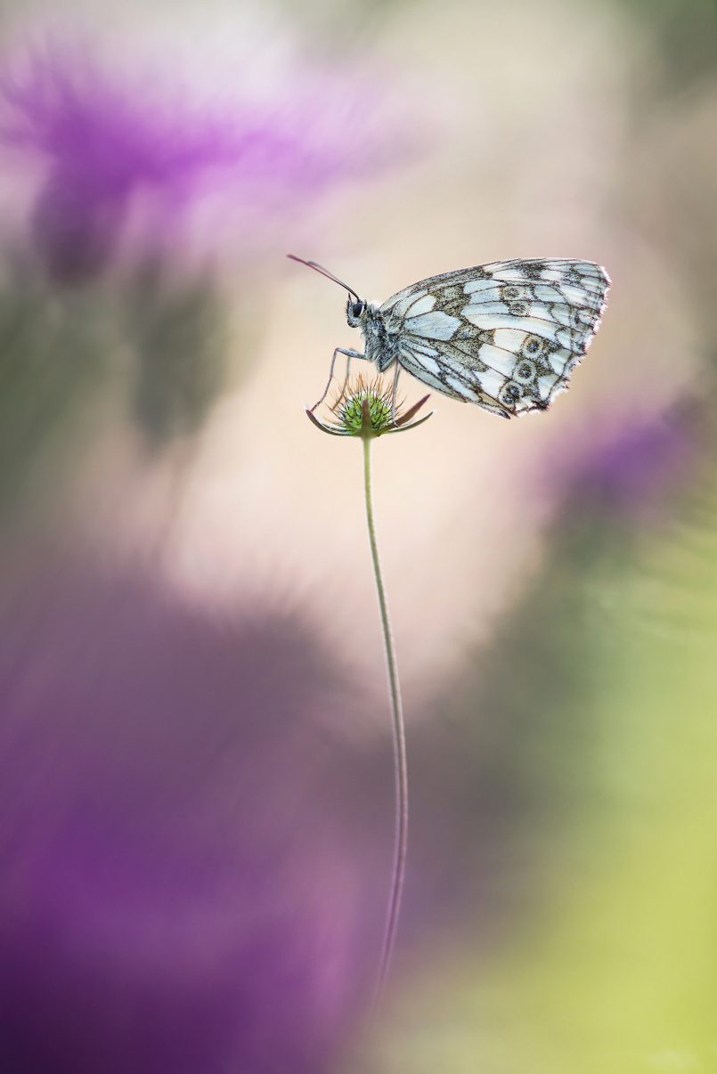 Fine Art Landscape Photography by Neil Burnell | Daily design ...