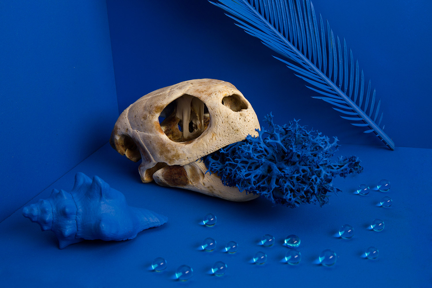 Feeling Blue? — Color Inspiration No.2 | Daily design inspiration for ...