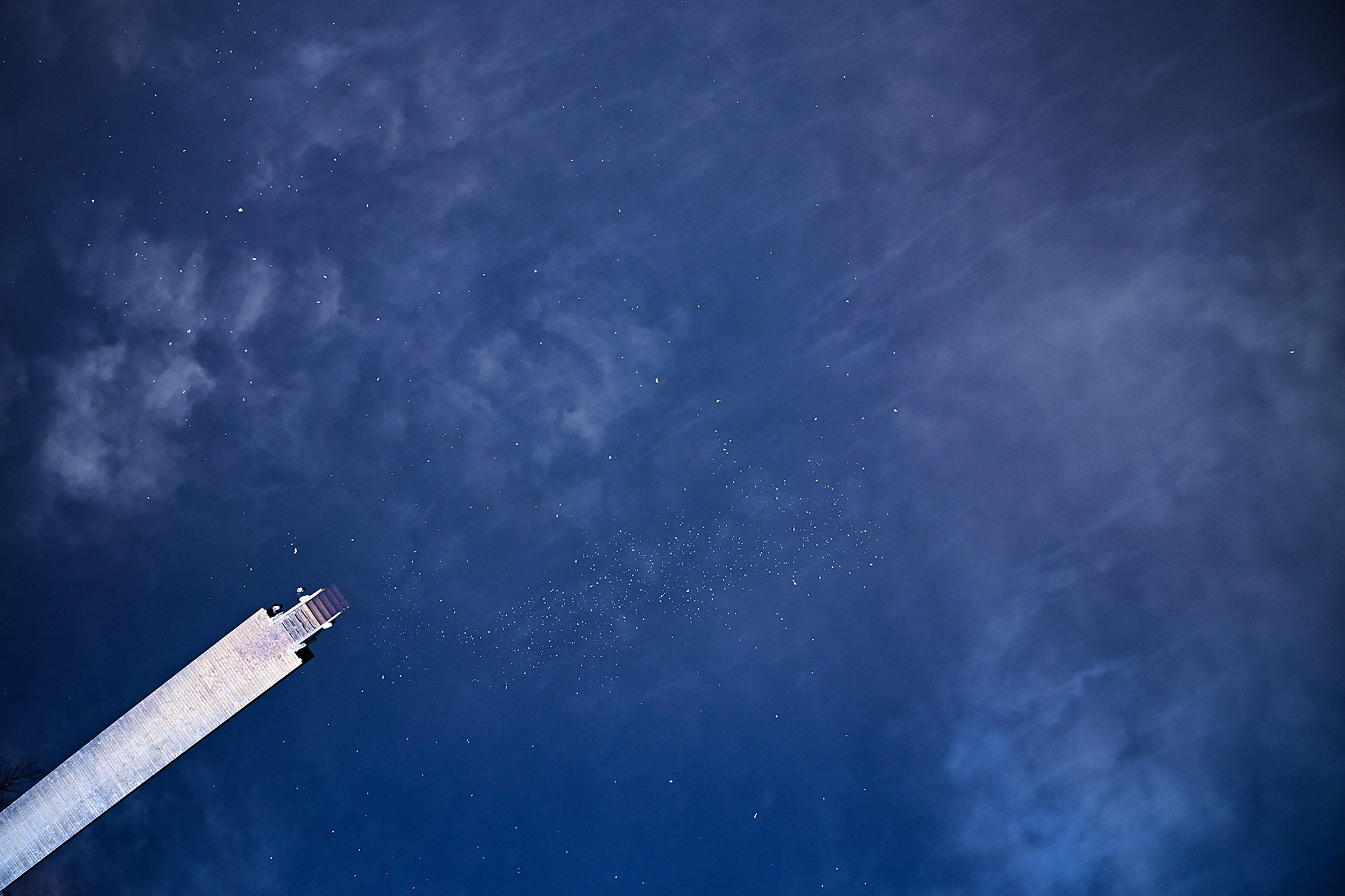 Feeling Blue? — Color Inspiration No.2 | Daily design inspiration for ...