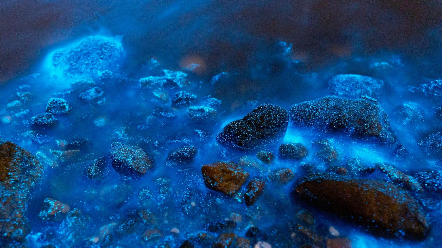 Feeling Blue? — Color Inspiration No.2 | Daily design inspiration for ...