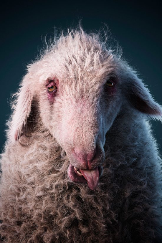 Amazing CGI Creations by Lightfarm Studios | Daily design inspiration ...