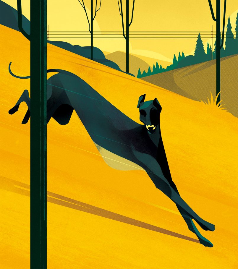 Editorial Illustrations by Charlie Davis | Daily design inspiration for ...