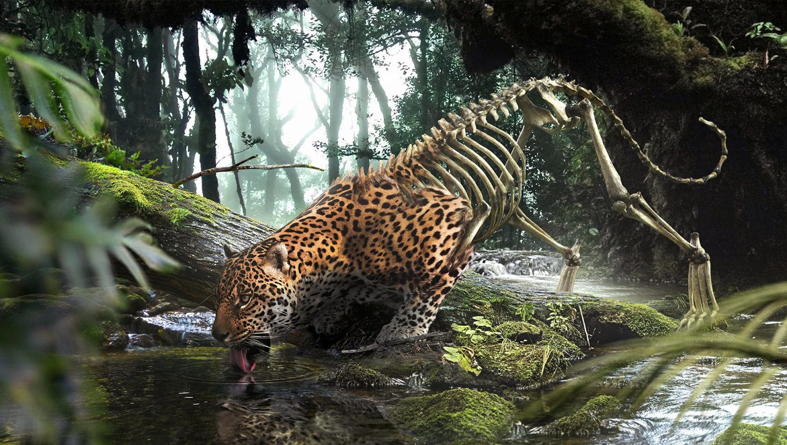 Digital Creations & Advertising by Platinum FMD | Daily design ...