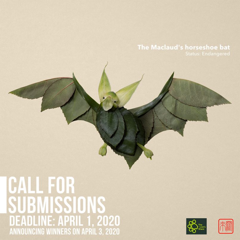 Floral Patterns & Compositions by Raku Inoue | Daily design inspiration ...