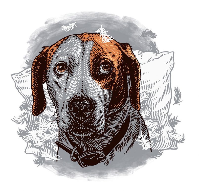 Cross-Hatching Illustrations by Tatiana Trikoz | Daily design ...