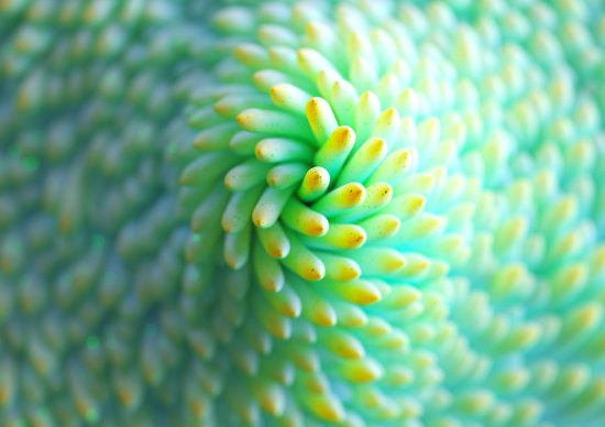 Organic Digital Art by Ari Weinkle | Daily design inspiration for ...