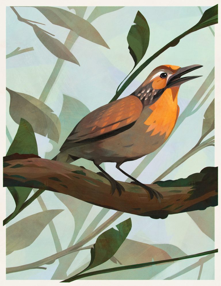 Illustrations by Eric Pautz | Daily design inspiration for creatives ...