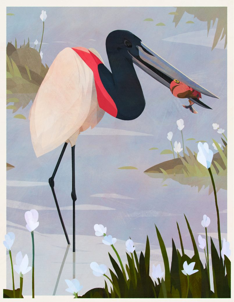 Illustrations by Eric Pautz | Daily design inspiration for creatives ...