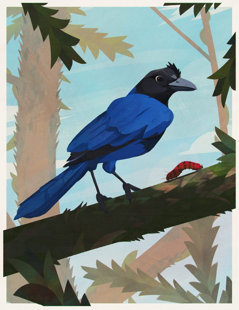 Illustrations by Eric Pautz | Daily design inspiration for creatives ...