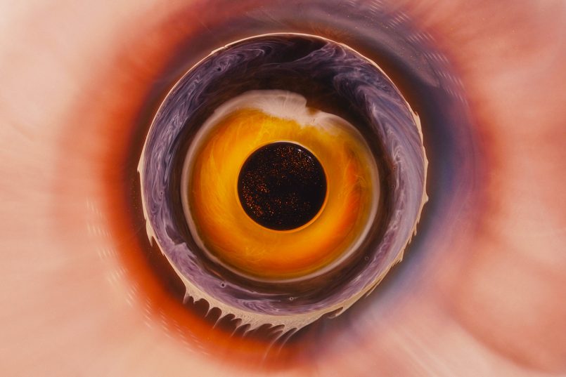 Eye: Abstract Photography by Ruslan Khasanov | Daily design inspiration ...