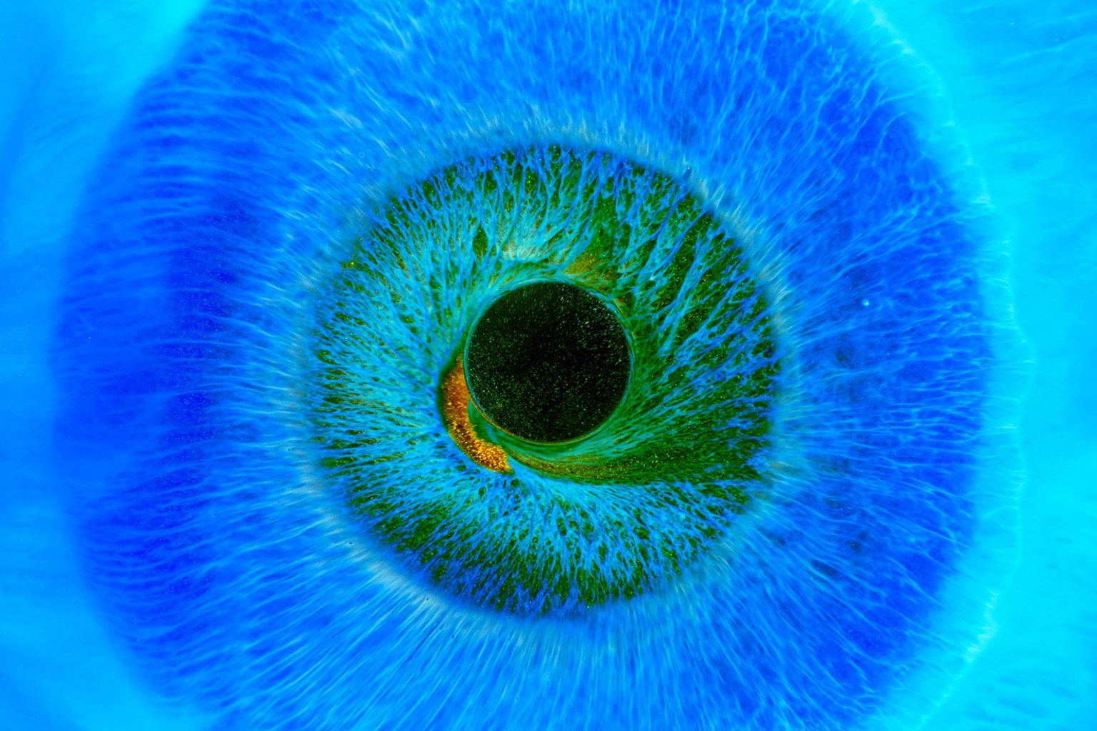 Eye: Abstract Photography by Ruslan Khasanov | Daily design inspiration ...