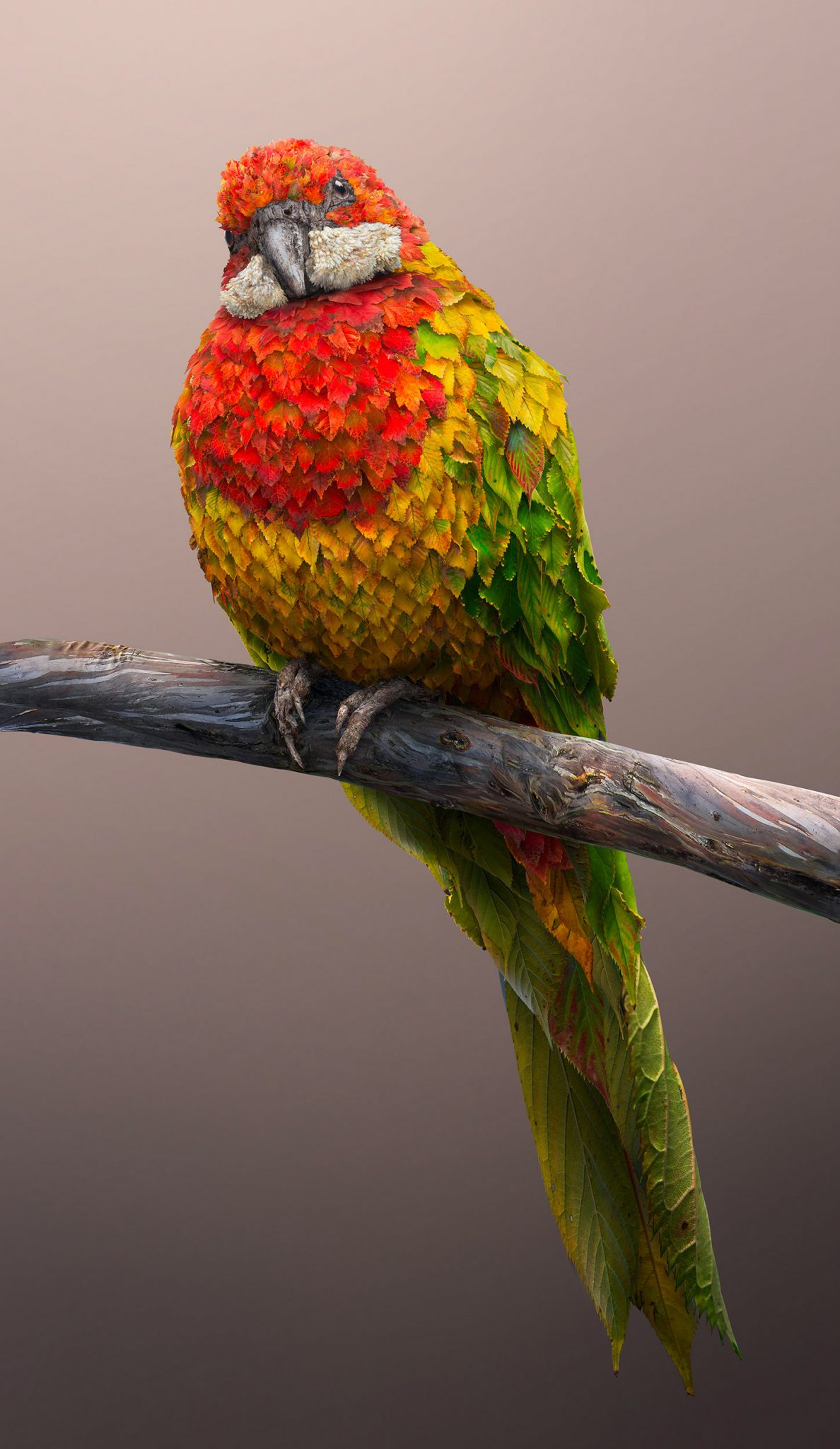 Photographic Illustrations by Josh Dykgraaf | Daily design inspiration ...