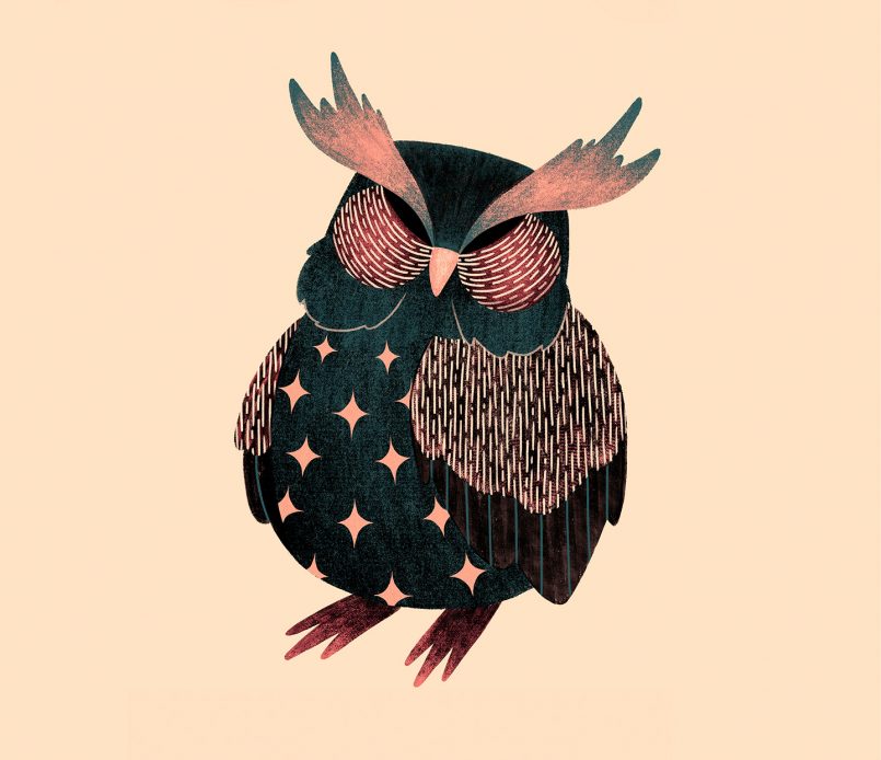 Beautiful illustrations by Steve Aparicio | Daily design inspiration ...