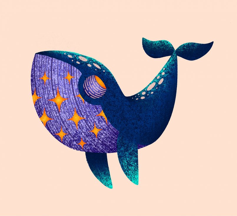 Beautiful illustrations by Steve Aparicio | Daily design inspiration ...