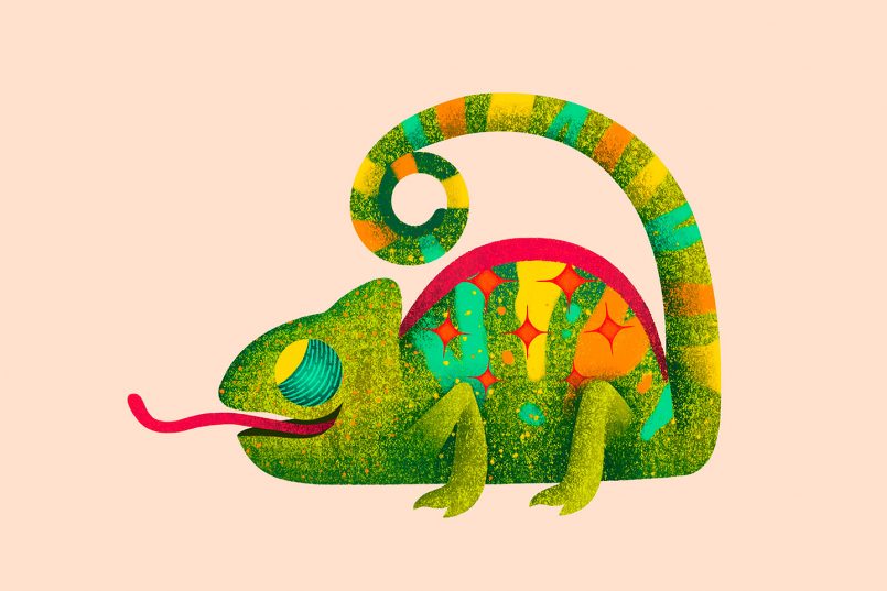 Beautiful illustrations by Steve Aparicio | Daily design inspiration ...