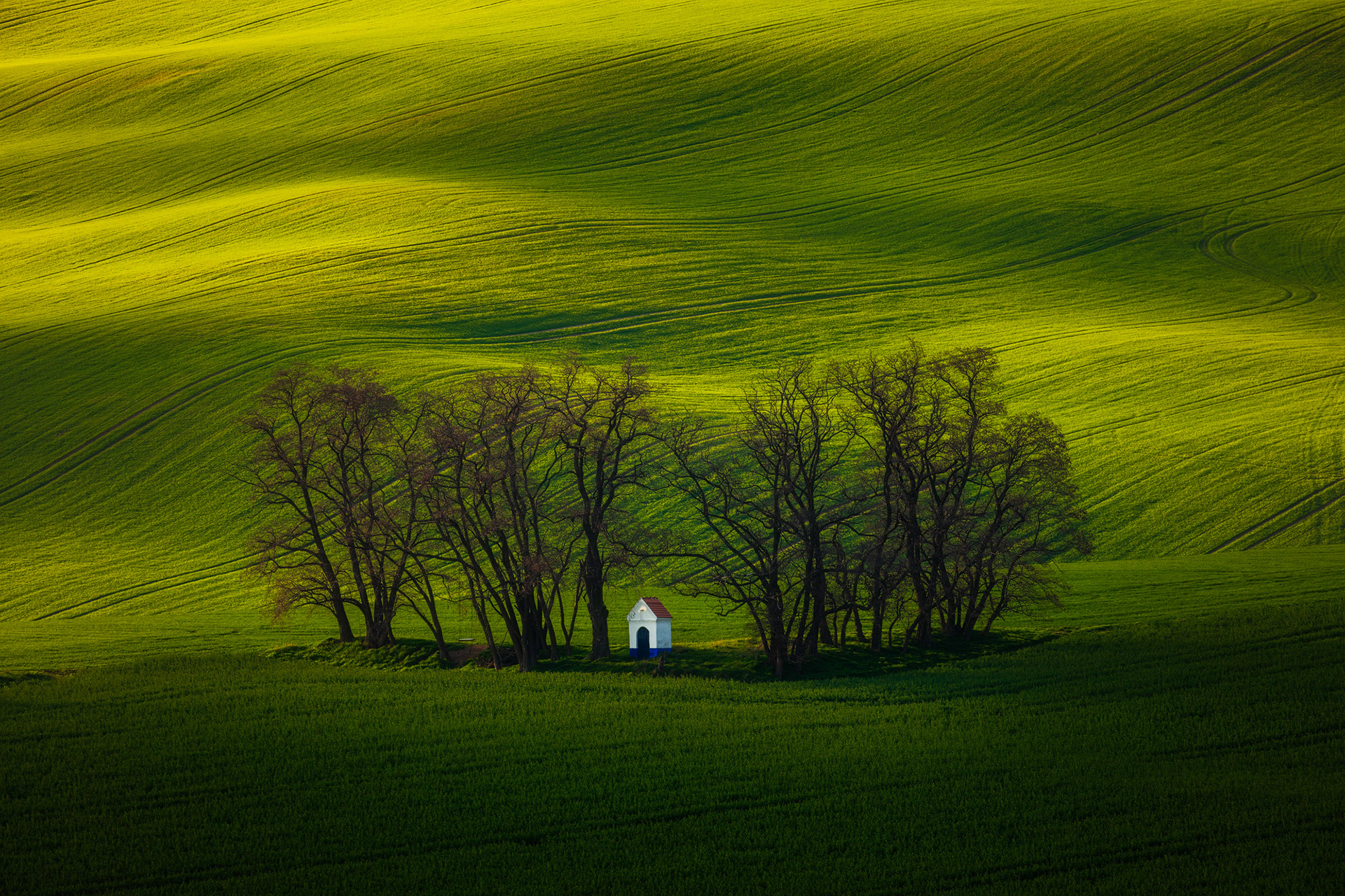 Greenspired — Color Inspiration No.4 | Daily design inspiration for ...