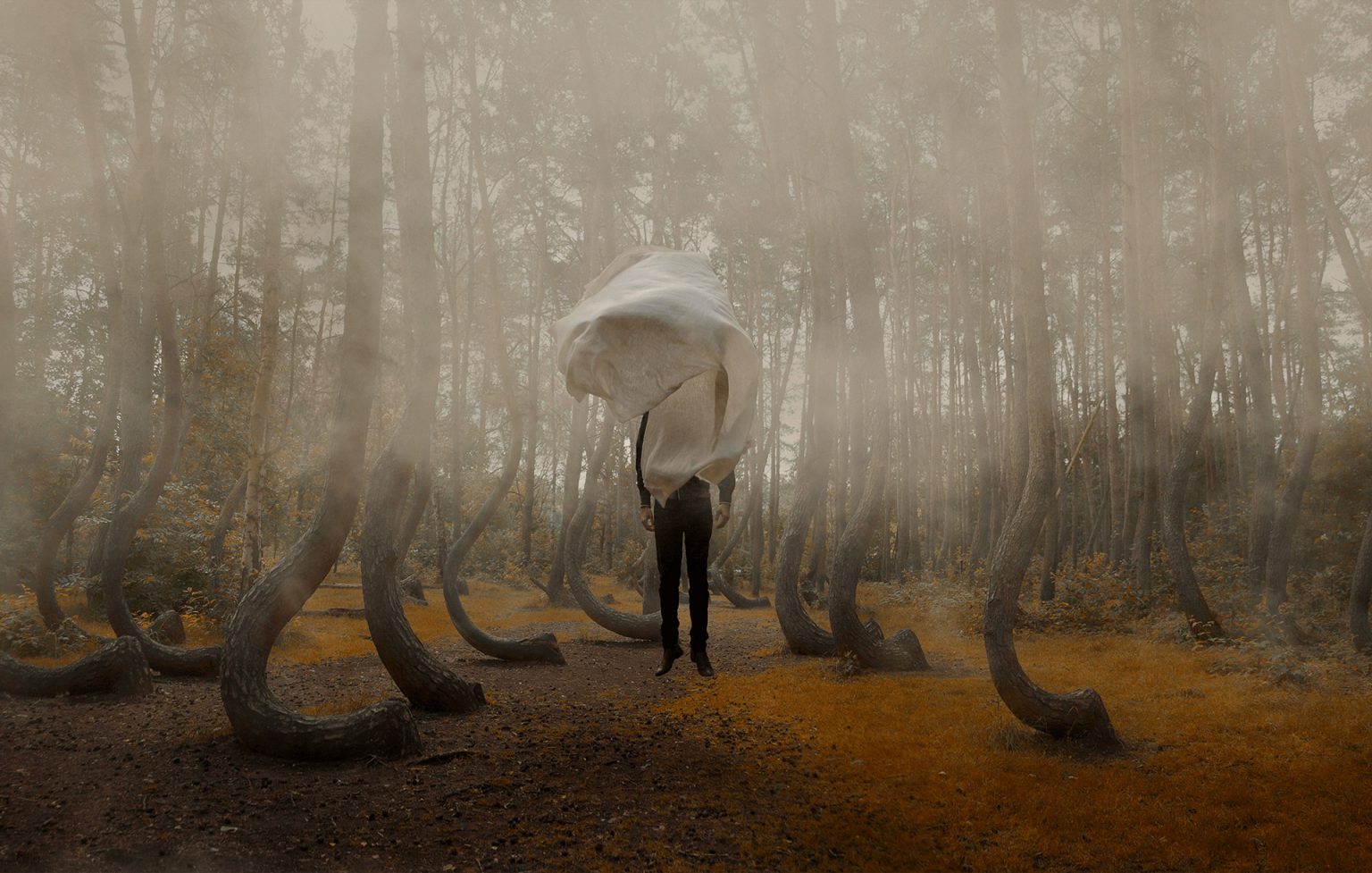 Creative Photography & Art Direction by May Xiong | Daily design ...