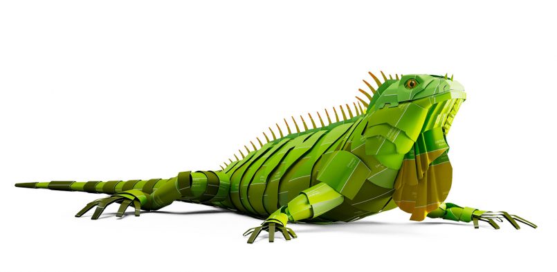 Color Swatch Animals by Arvid Volz | Daily design inspiration for ...