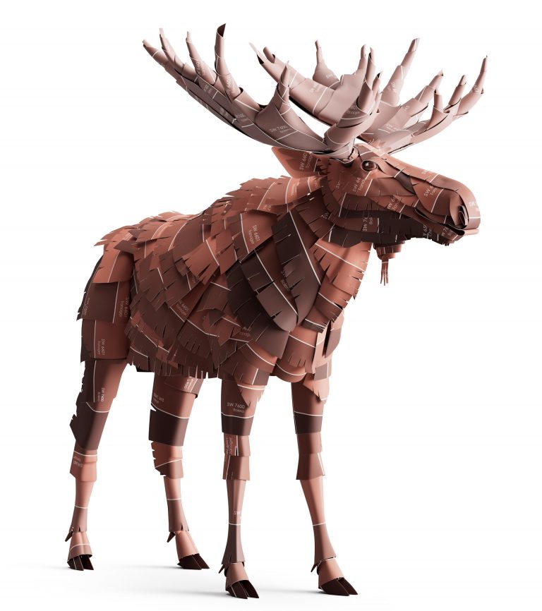 Color Swatch Animals by Arvid Volz | Daily design inspiration for ...