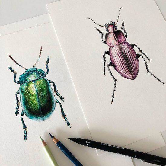 Realistic Pen & Pencil Drawings by Phoebe Atkey | Daily design ...
