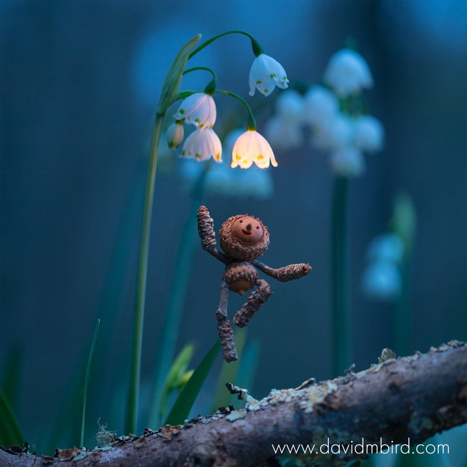 Becorns: Adorable Little Creatures by David M Bird | Daily design ...