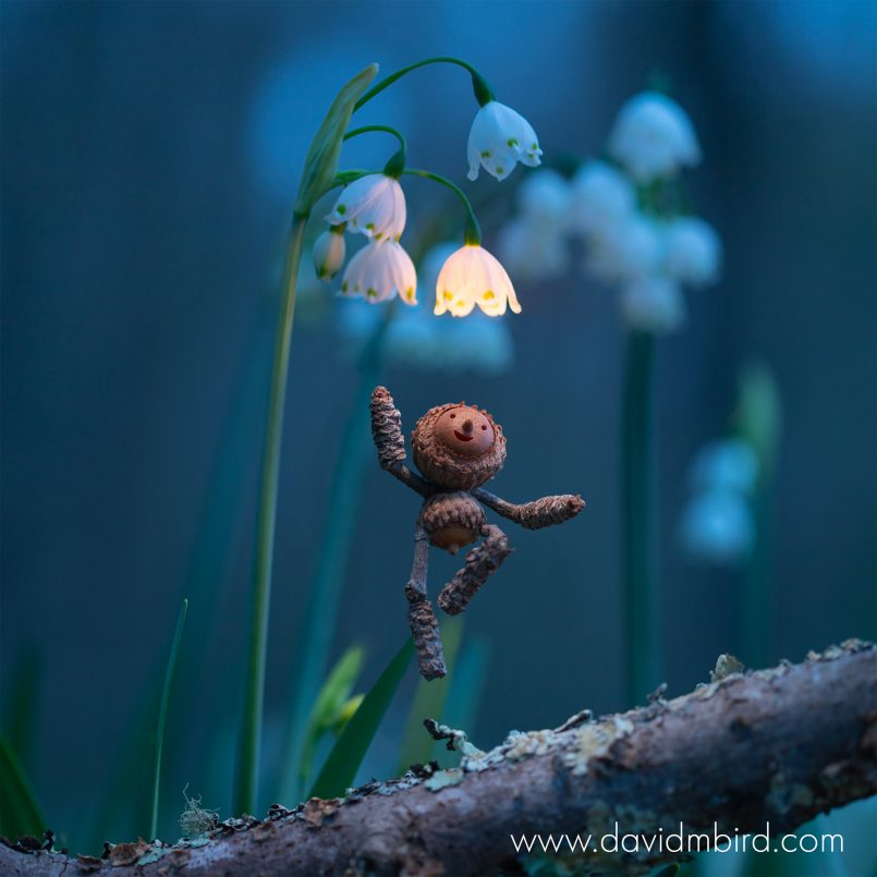 Becorns: Adorable Little Creatures by David M Bird | Daily design ...