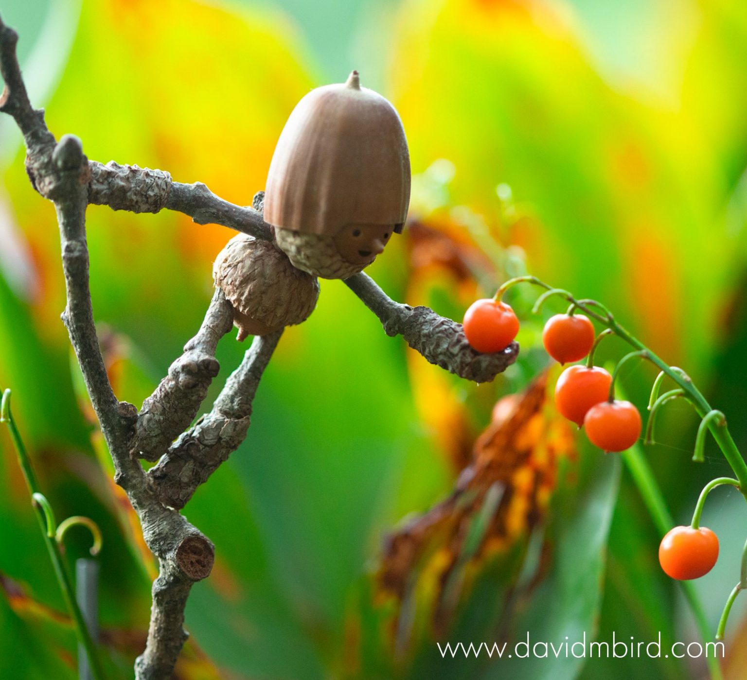 Becorns: Adorable Little Creatures by David M Bird | Daily design ...