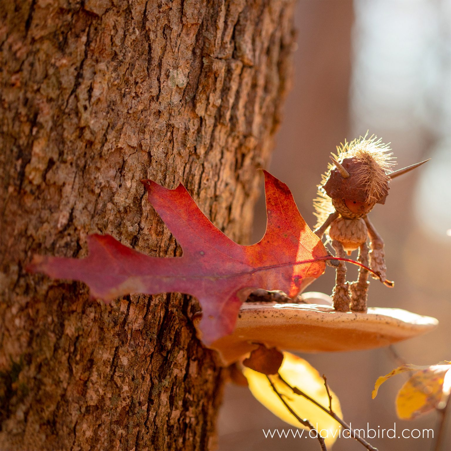 Becorns: Adorable Little Creatures by David M Bird | Daily design ...