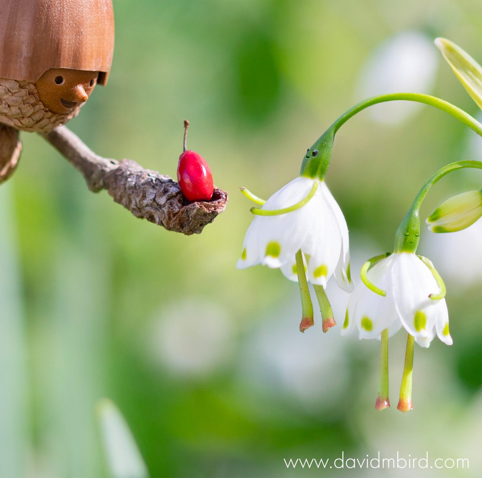 Becorns: Adorable Little Creatures by David M Bird | Daily design ...