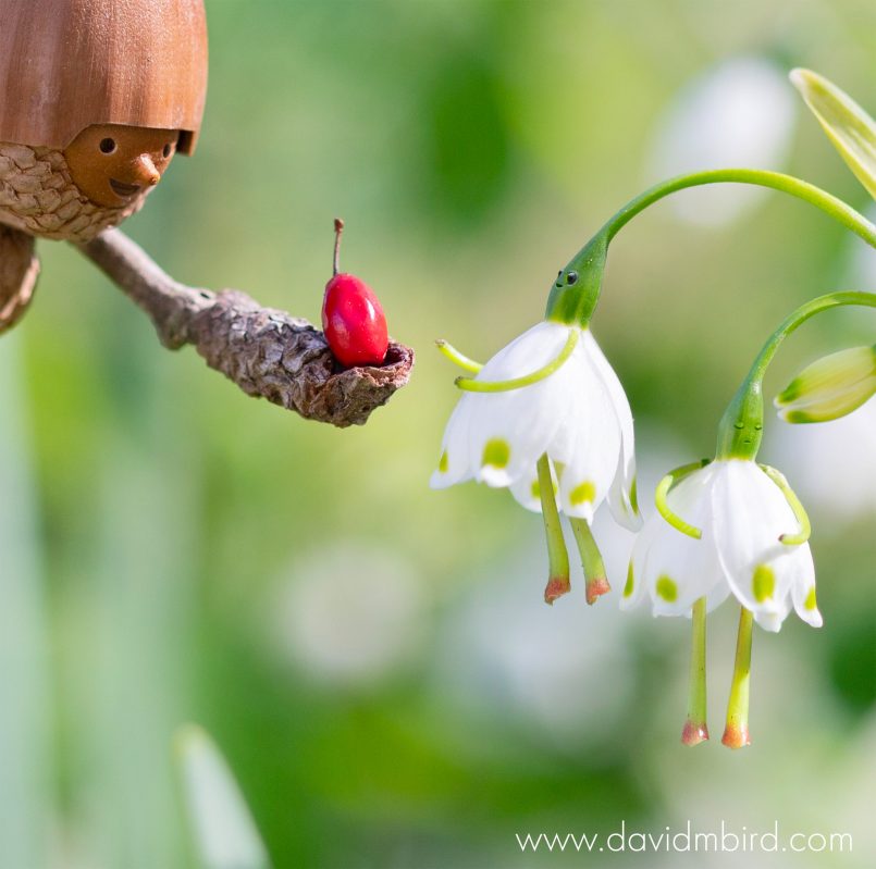 Becorns: Adorable Little Creatures by David M Bird | Daily design ...