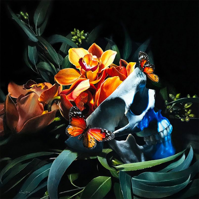 Skull Paintings by Clare Toms | Daily design inspiration for creatives ...