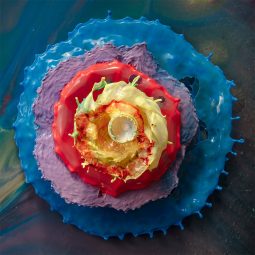 Creative Liquid Photography by Jack Long | Daily design inspiration for ...