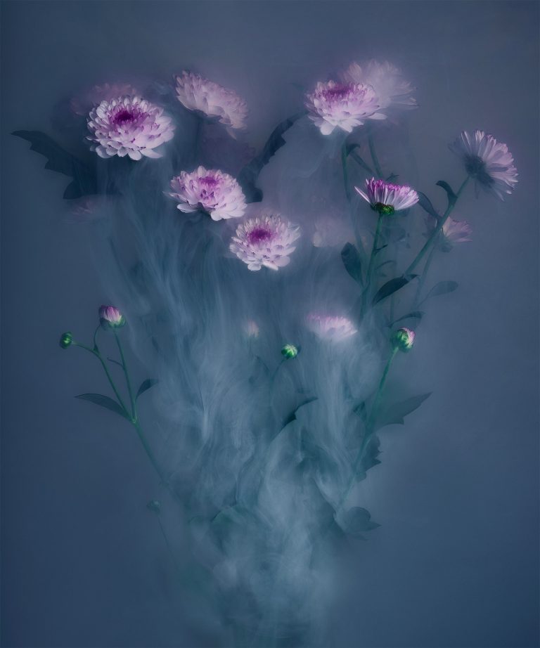 Flower Power: Fine Art Photography by Robert Peek | Daily design ...