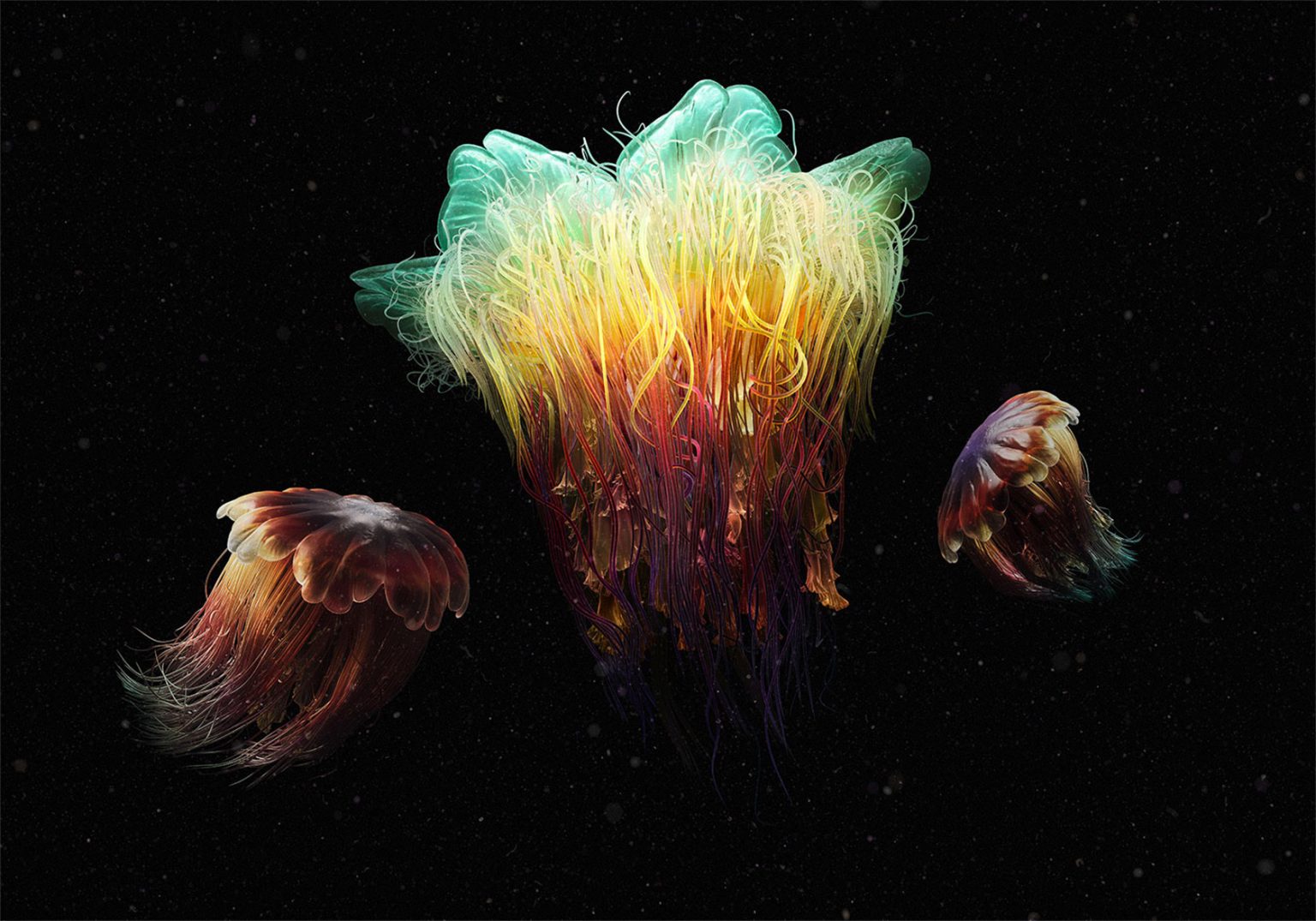 Fun Digital Artworks by Daniel Sian | Daily design inspiration for ...