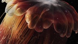 Fun Digital Artworks by Daniel Sian | Daily design inspiration for ...