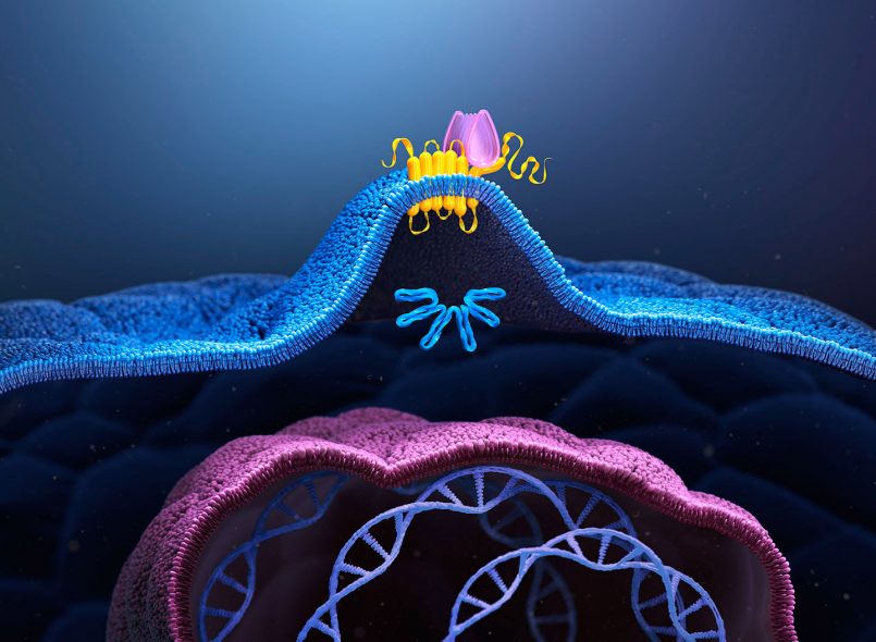 Fun Digital Artworks by Daniel Sian | Daily design inspiration for ...