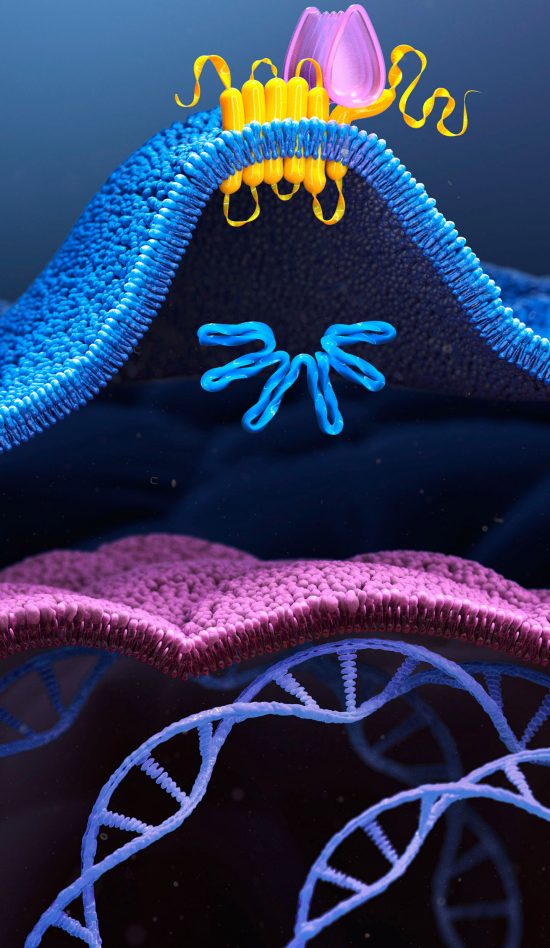 Fun Digital Artworks by Daniel Sian | Daily design inspiration for ...