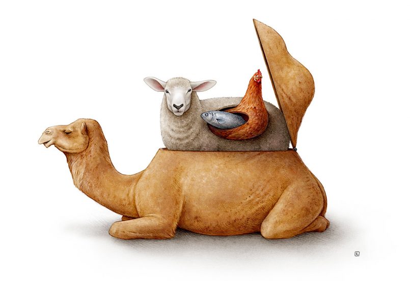 Hand-Drawn Illustrations by Irene Laschi | Daily design inspiration for ...